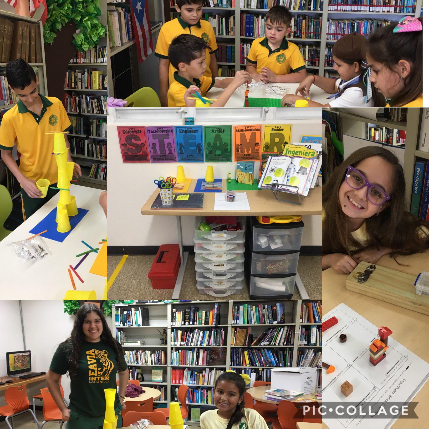 How to Put the Library in STEM – Association for Library Service to ...